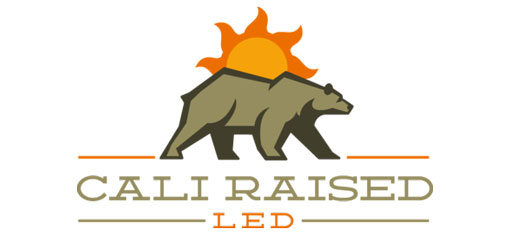 Cali Raised LED Products – Cali Raised Offroad
