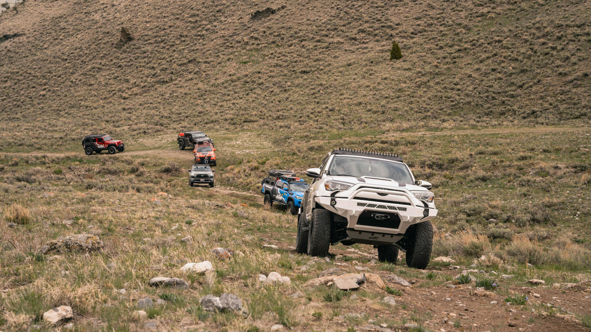 5th Gen Toyota 4Runner Side Steps 10-22 4Runner CBI Offroad-300-000-011 ...